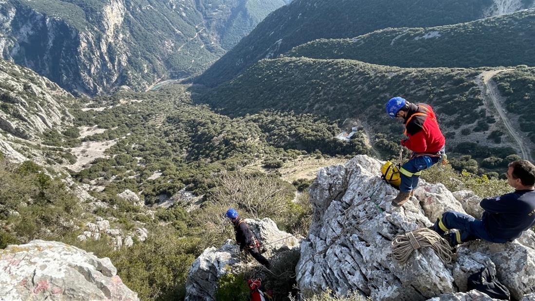 Συγκινητική επιχείρηση της ΕΜΑΚ για τη διάσωση της «Σουλτάνας» (ΒΙΝΤΕΟ ...