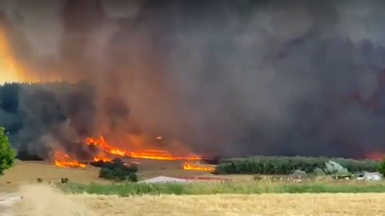 Φωτιά στη Ρόδο και μήνυμα από το 112: «Παραμείνετε σε ετοιμότητα» - Usay.gr